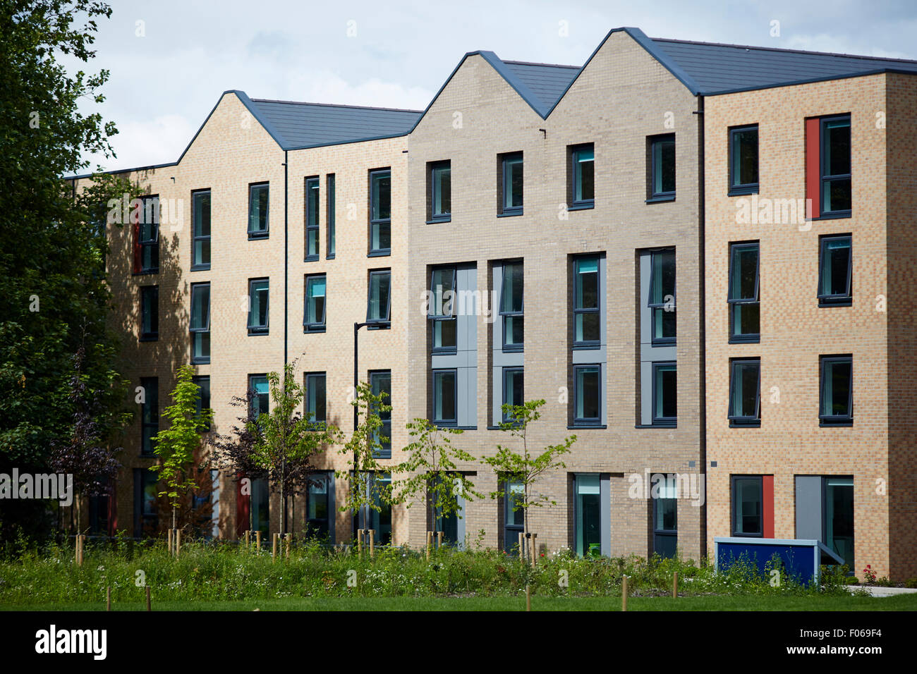 Wild flowers along Princess Parkway in Manchester UK framed by the ...