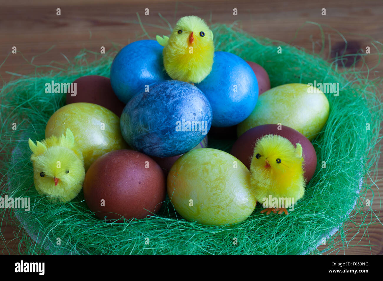 Yellow chicks hi-res stock photography and images - Alamy