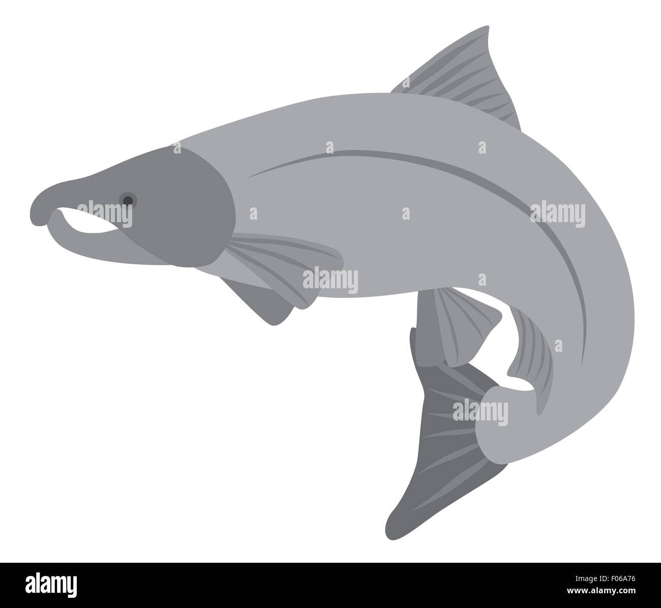 Grayscale fish hi-res stock photography and images - Alamy