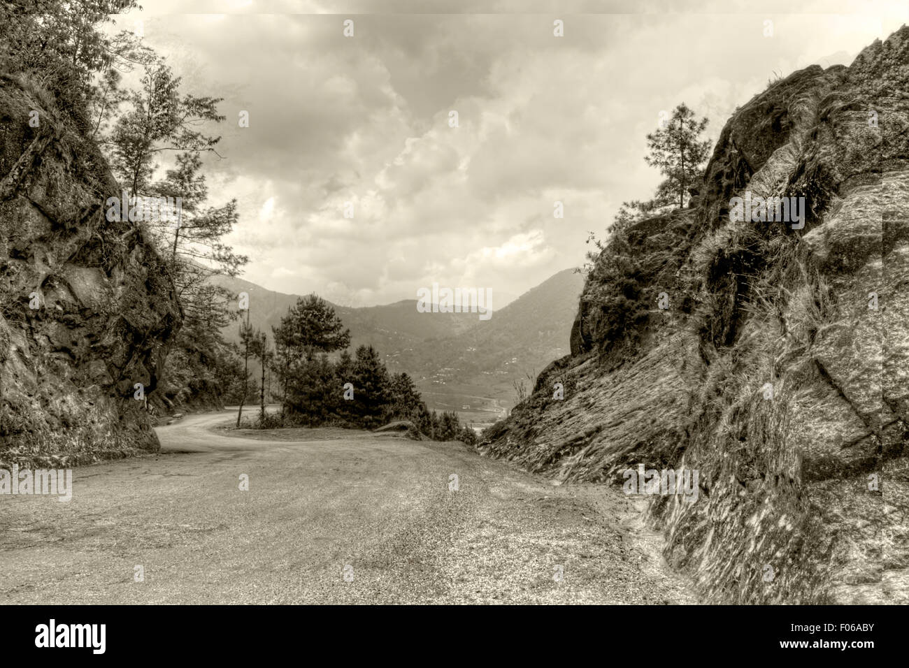 Narrow road between forest hi-res stock photography and images - Alamy