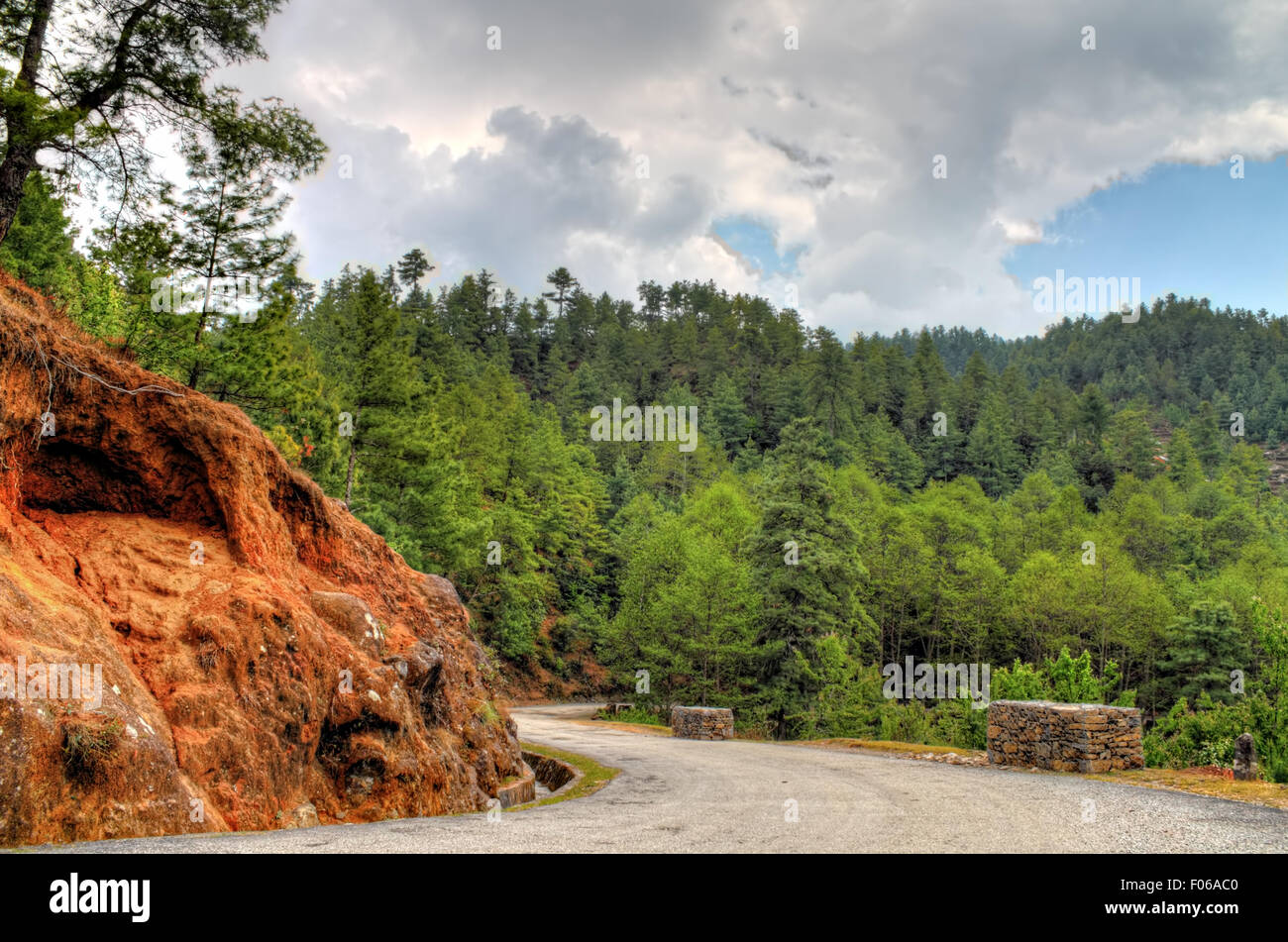 highway through a forest Stock Photo - Alamy