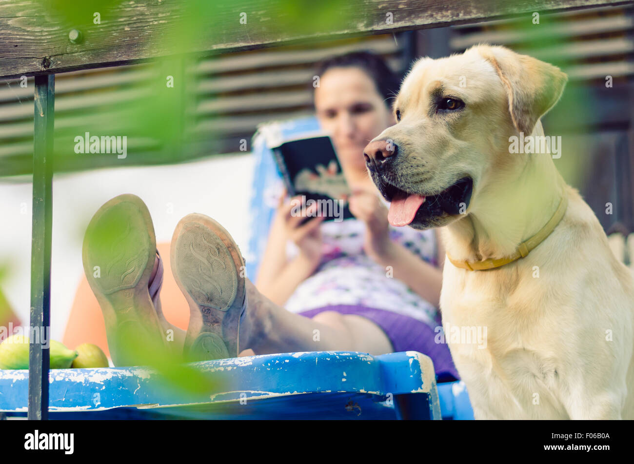 Come together again hi-res stock photography and images - Alamy