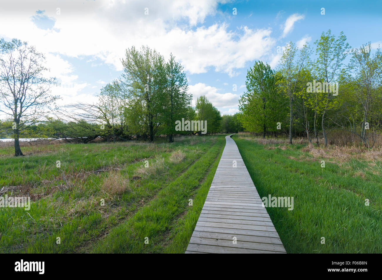 Boardwalk and landscape Stock Photo - Alamy