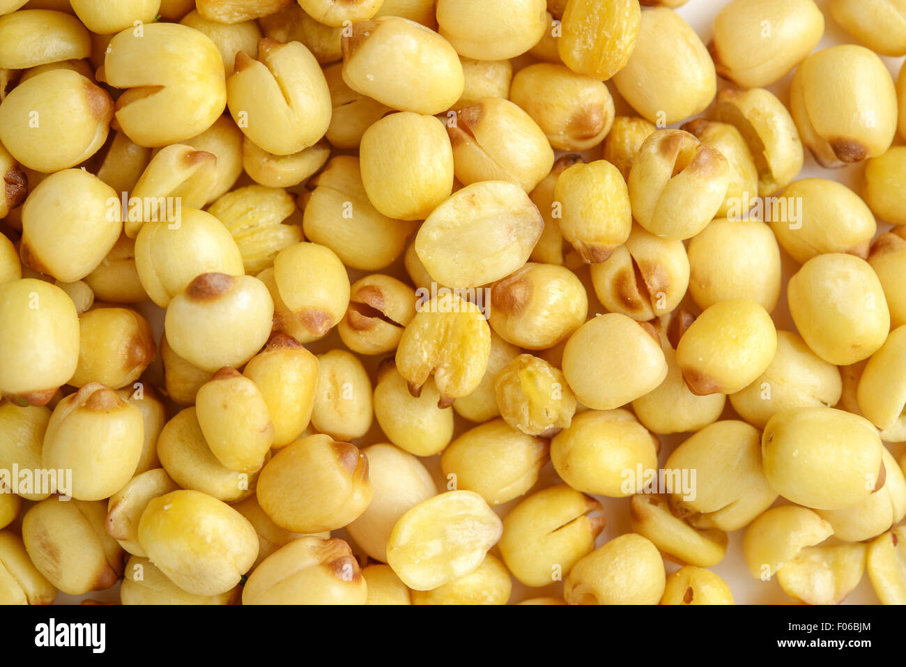 dried lotus seeds Stock Photo - Alamy