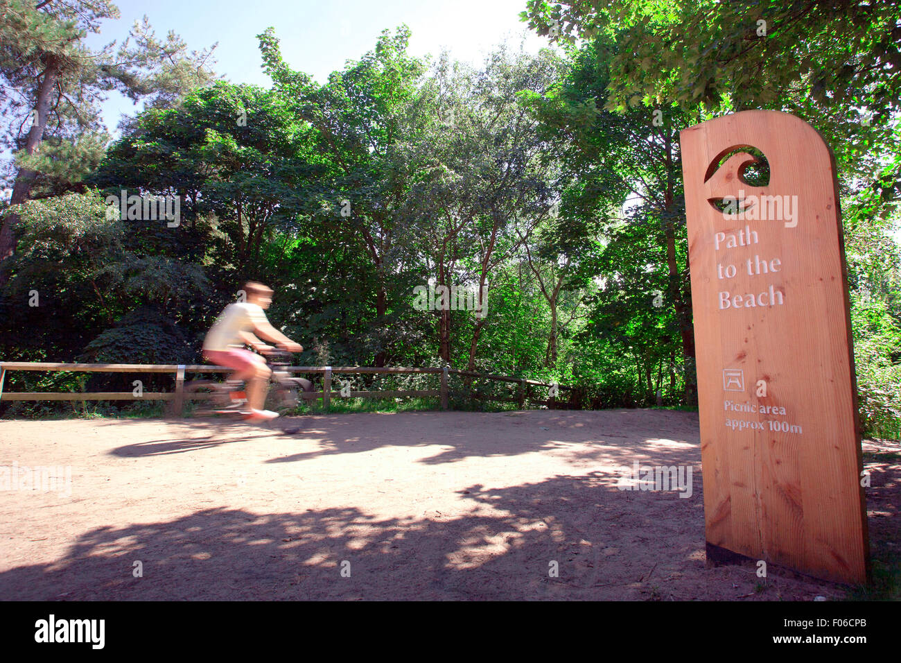 Formby beach squirrel hi-res stock photography and images - Alamy
