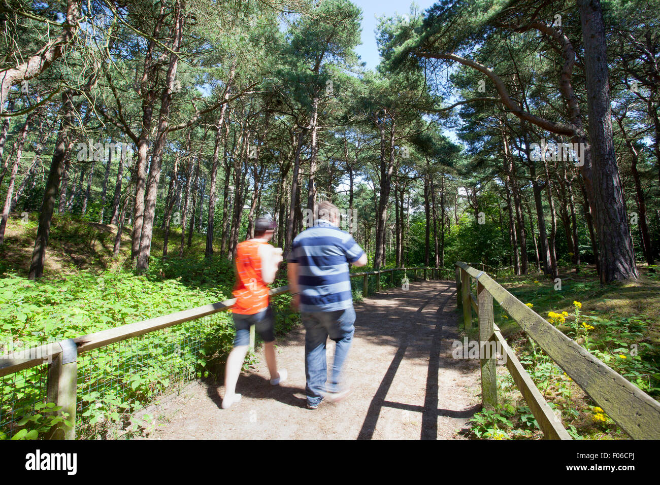 Formby Squirrel Reserve near Liverpool, UK. August 2015. Tourists ...