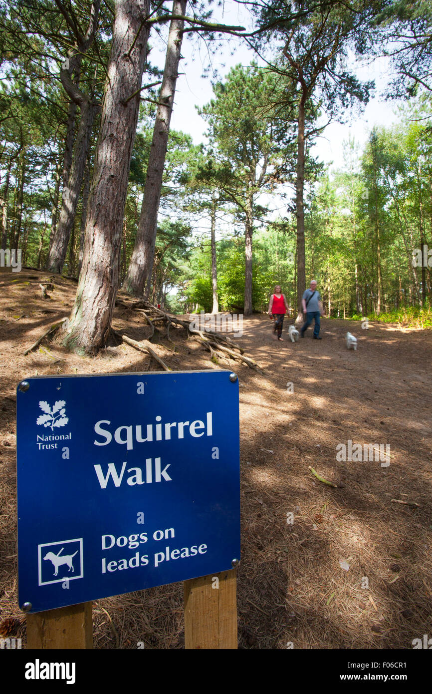 Formbys hi-res stock photography and images - Alamy