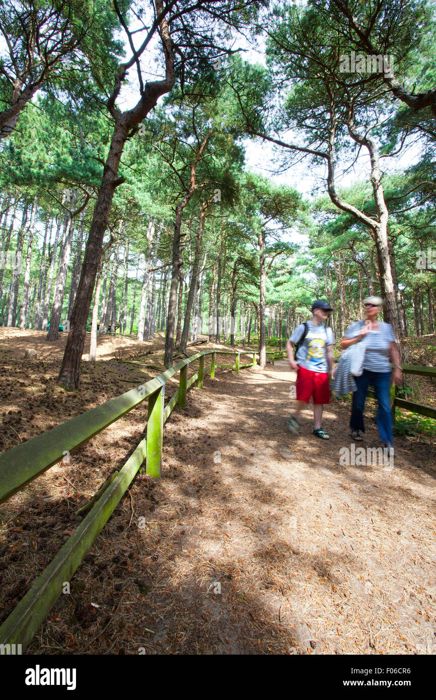 Formby Squirrel Reserve near Liverpool, UK. 8th August 2015. Tourists ...