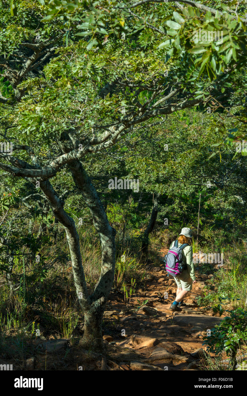 Far mountains and roads hi-res stock photography and images - Alamy