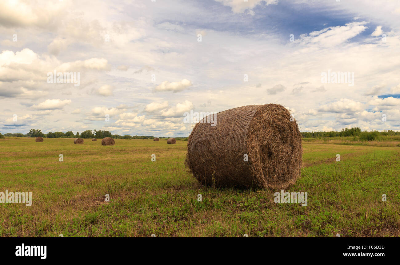 the bale of hay Stock Photo - Alamy