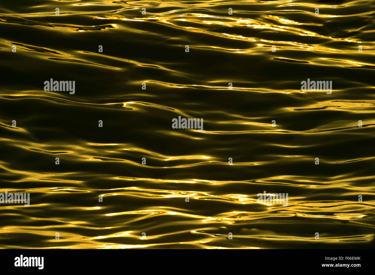 Ripples are beautiful golden surreal wave patterns on the water to form ...