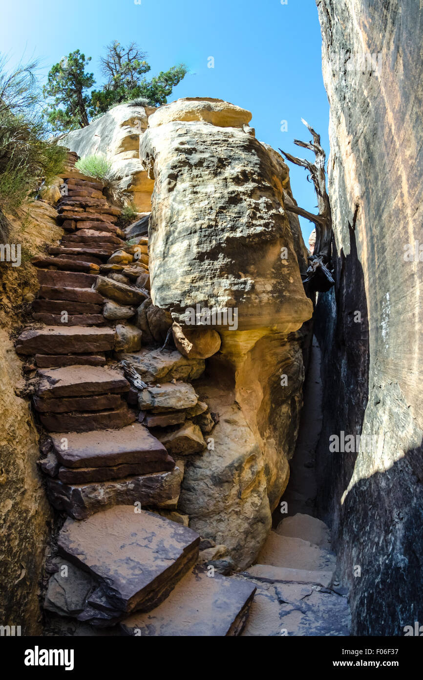A long stretch of the Joint Trail in the Needles District takes hikers ...