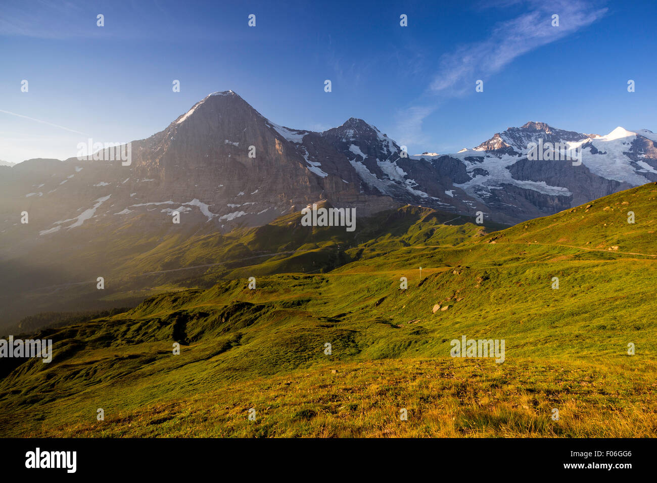 Sunrise on the Bernese Oberland. Alpine meadow. Eiger, Monch, Jungfrau ...