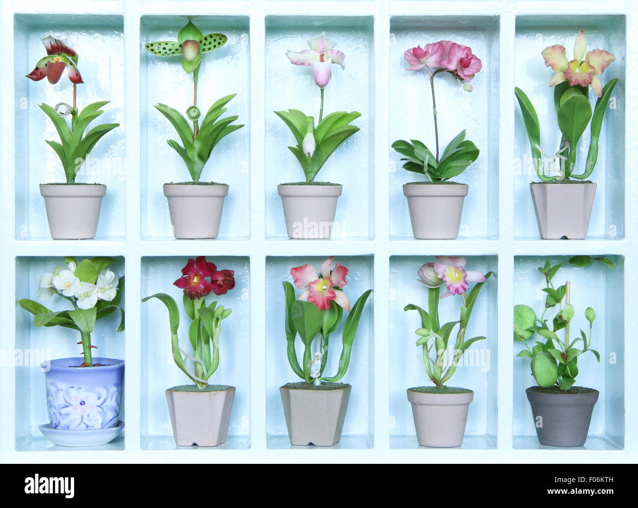 Flower cabinet hi-res stock photography and images - Alamy