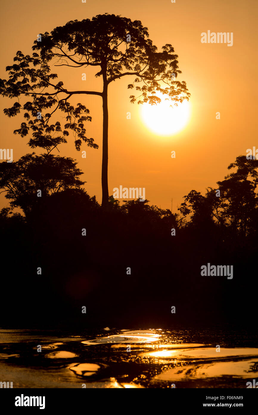 Catatumbo river venezuela hi-res stock photography and images - Alamy