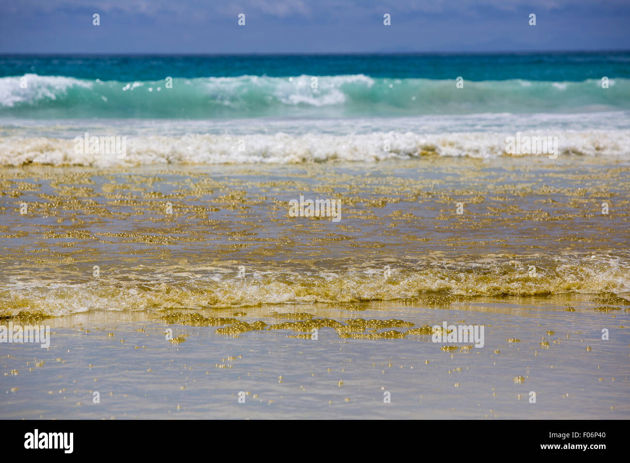 Yellow river sand washing hi-res stock photography and images - Alamy