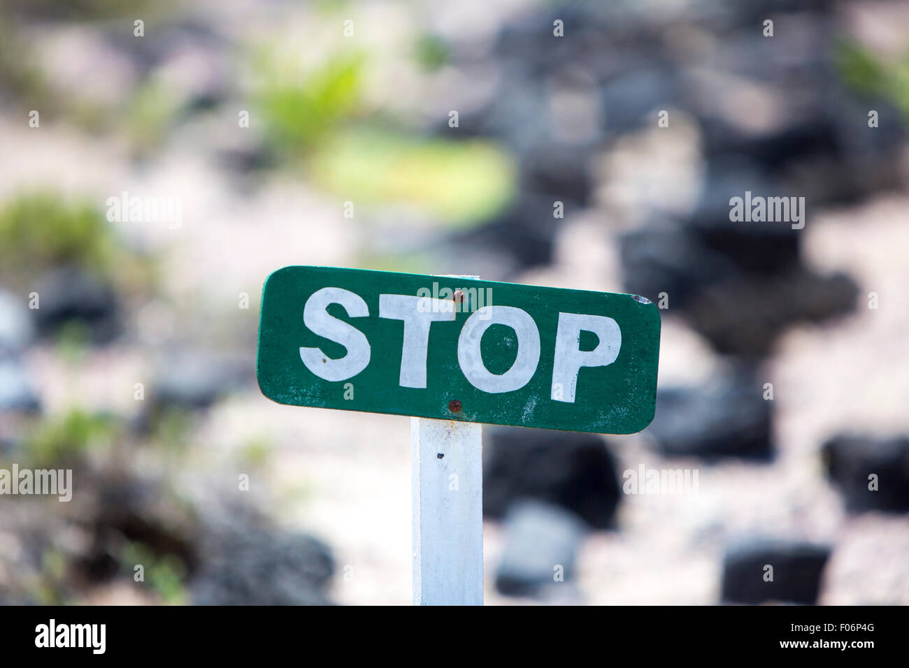 Green wooden stop sign laying in the rocks at the beach to protect the ...