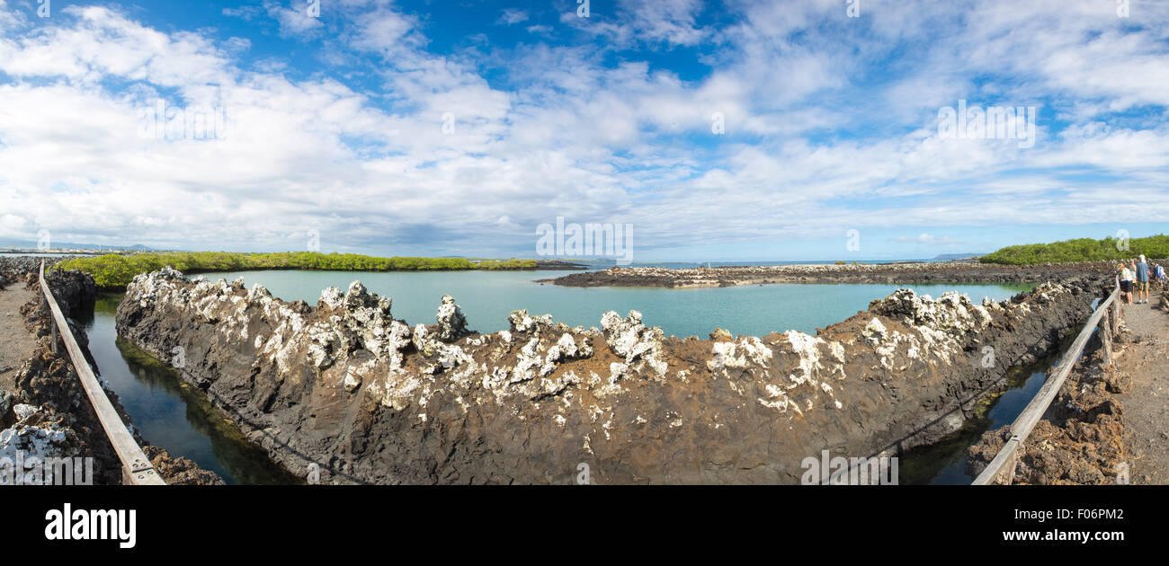 Panorama of the lagoon and the nature in a protected and closed area ...