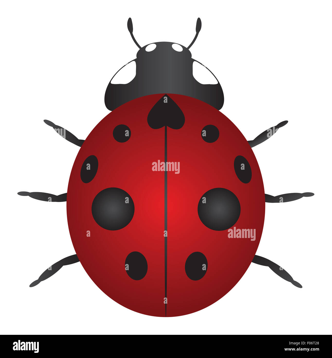 Nine spotted ladybird beetle Cut Out Stock Images & Pictures - Alamy