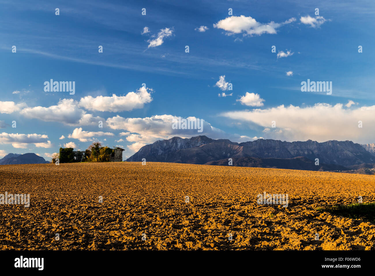 an abandoned and ruined farm in the fields of Italy Stock Photo - Alamy