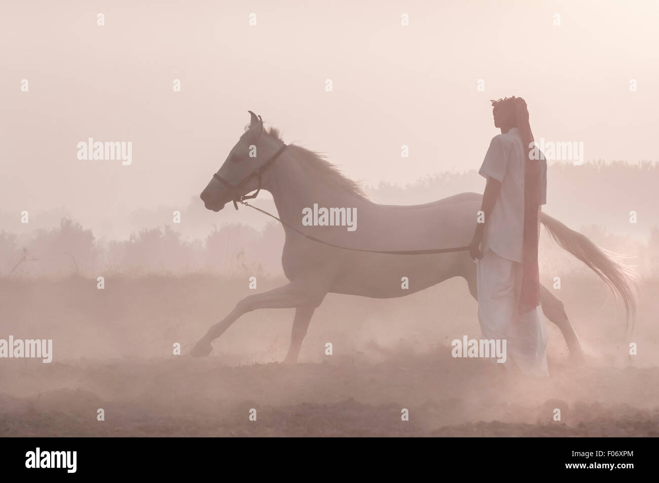 Dawn run horse hi-res stock photography and images - Alamy