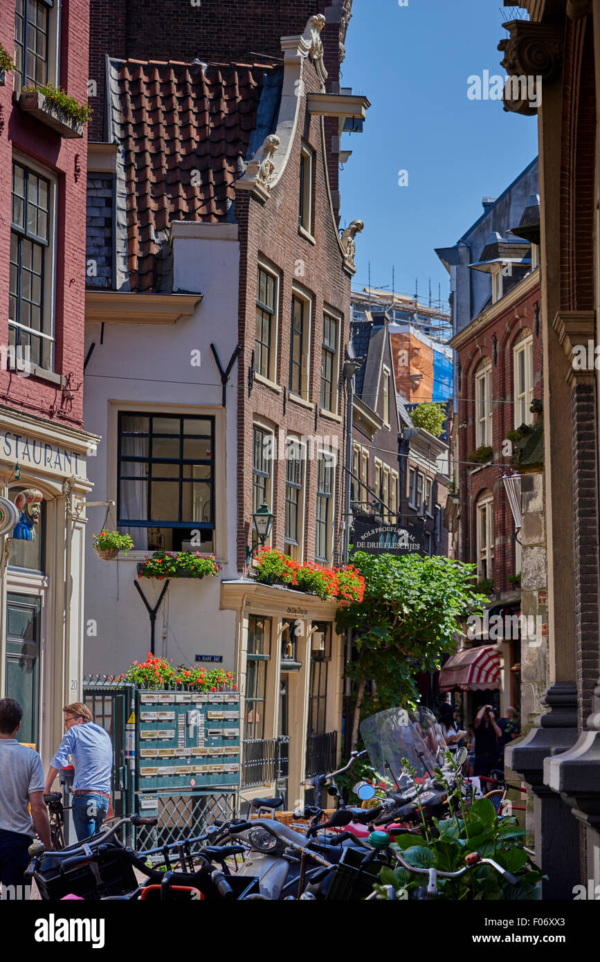 Amsterdam is the capital city and most populous city of the Kingdom of ...
