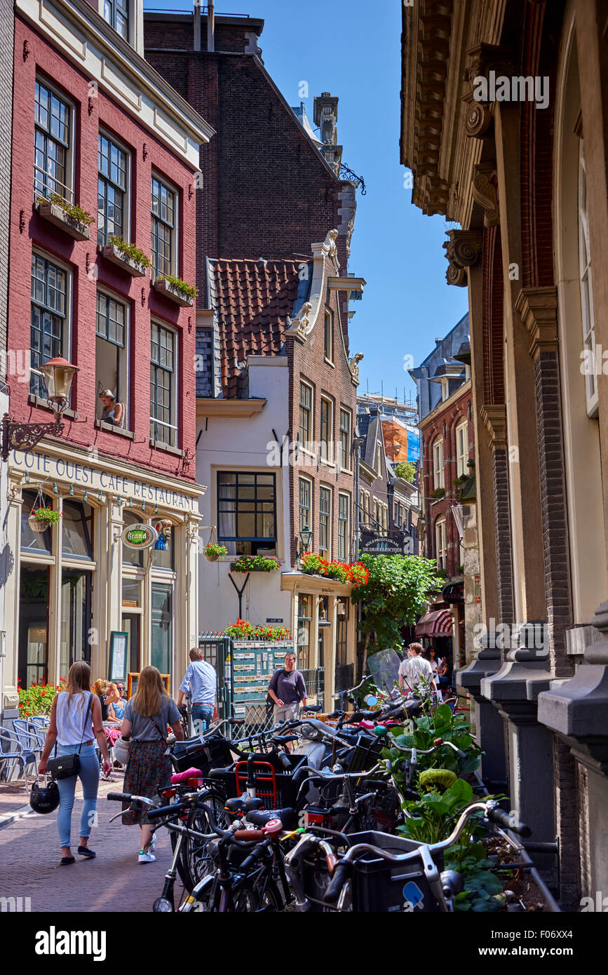 Amsterdam is the capital city and most populous city of the Kingdom of ...