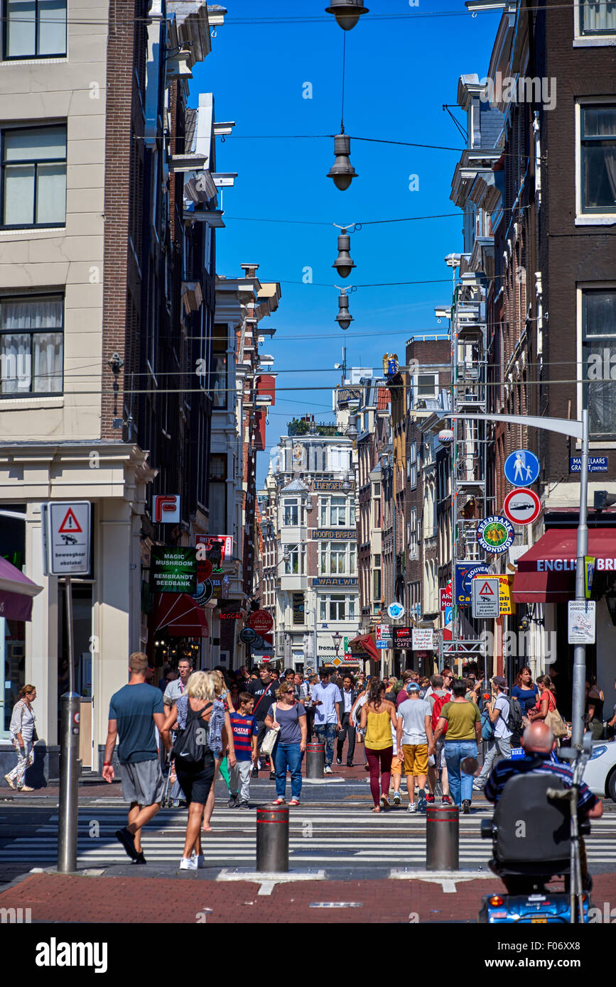 Amsterdam is the capital city and most populous city of the Kingdom of ...