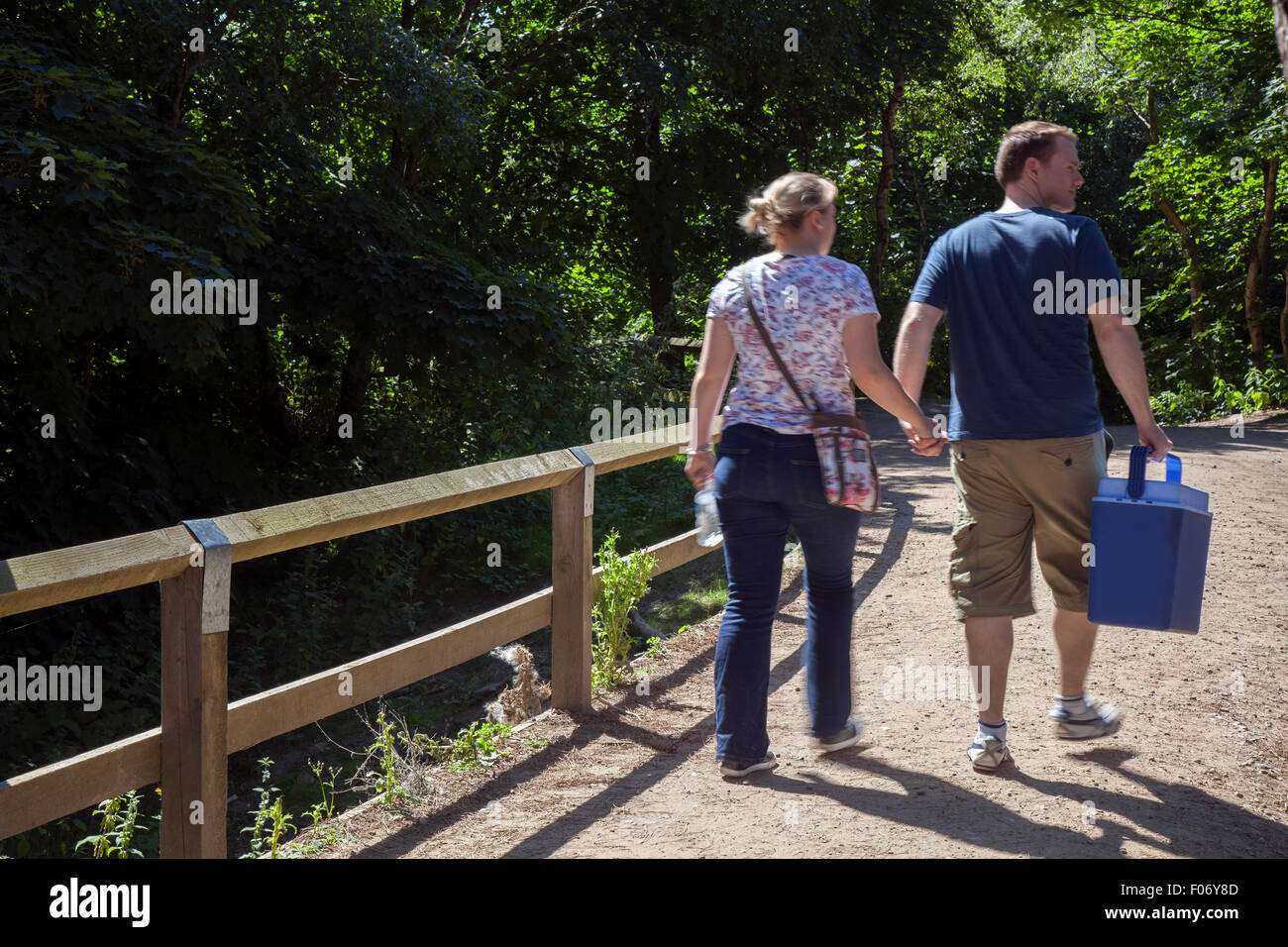 Pinewoods wildlife habitat at National Trust's Freshfield Reserve ...