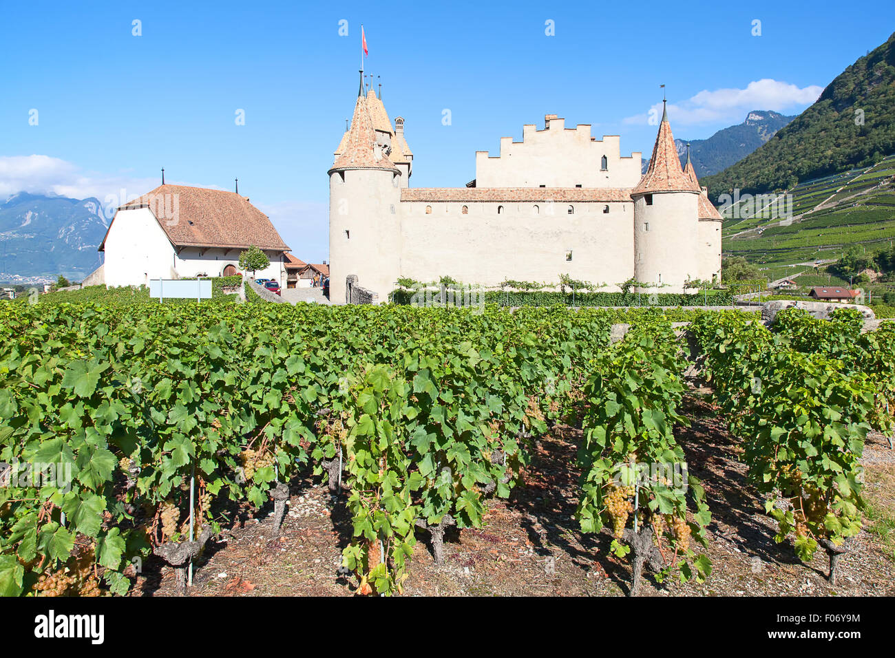 Famous castle Chateau d'Aigle in canton Vaud, Switzerland Stock Photo ...