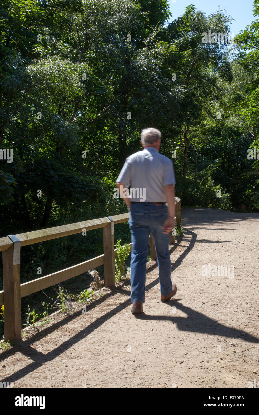 Pinewoods wildlife habitat at National Trust's Freshfield Reserve ...