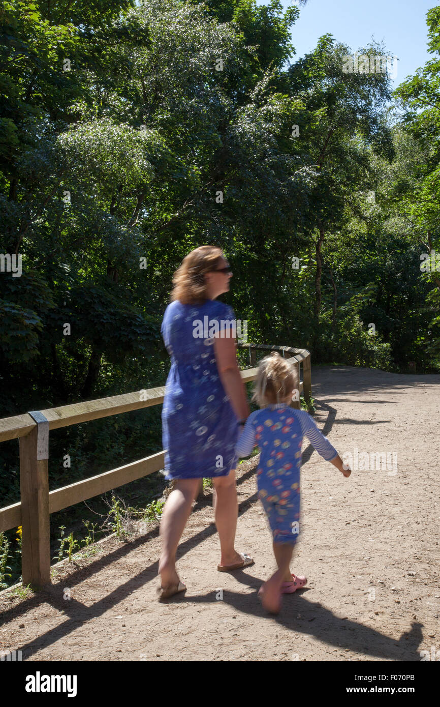 Pinewoods wildlife habitat at National Trust's Freshfield Reserve ...