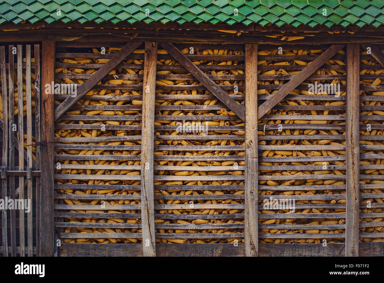 Cattle Corn High Resolution Stock Photography and Images - Alamy