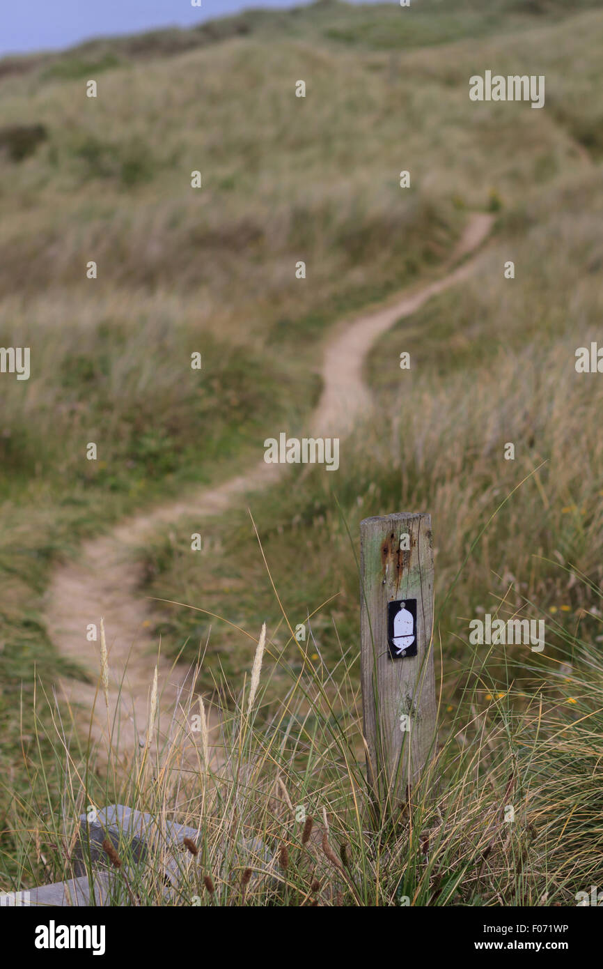 The South West Coast Path winds through the sand dunes of Penhale Sands ...