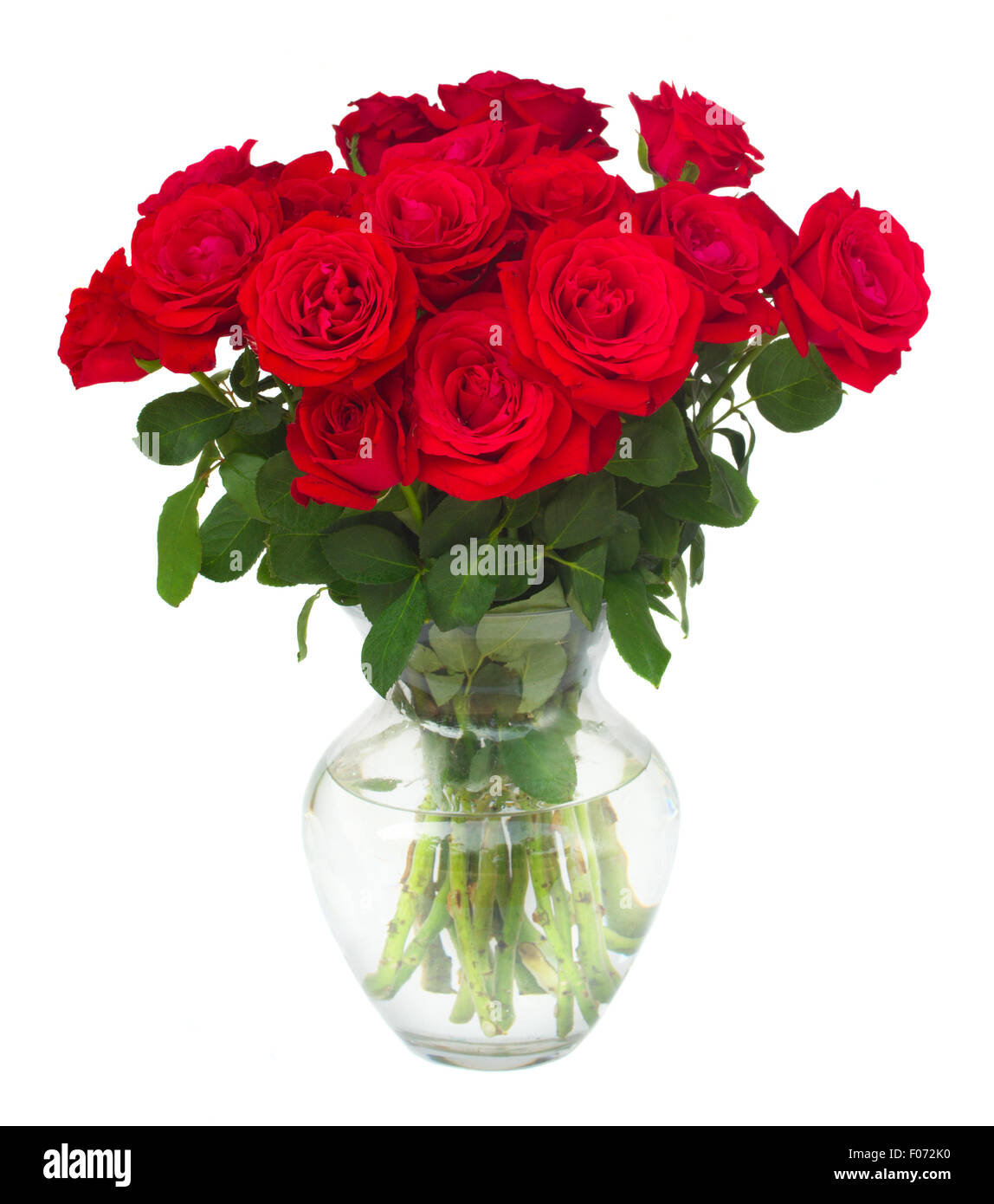 bouquet of fresh roses Stock Photo - Alamy