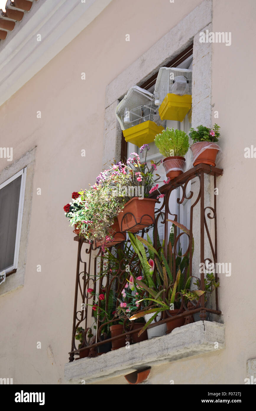 Old window with flower pots Stock Photo - Alamy
