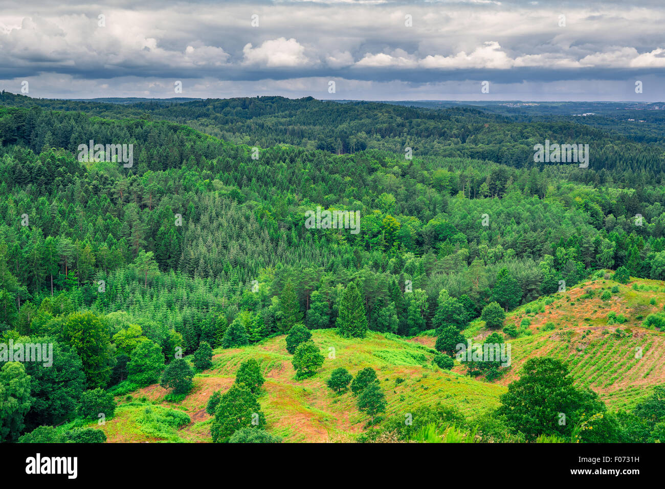Danish landscape hi-res stock photography and images - Alamy