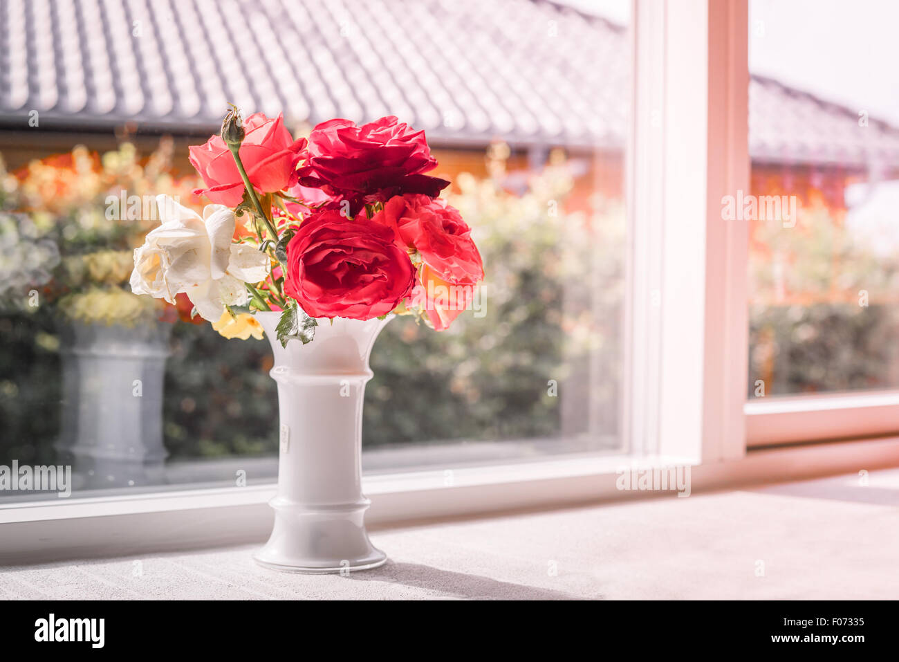 Bouquet of pink and red roses in a bright window Stock Photo - Alamy