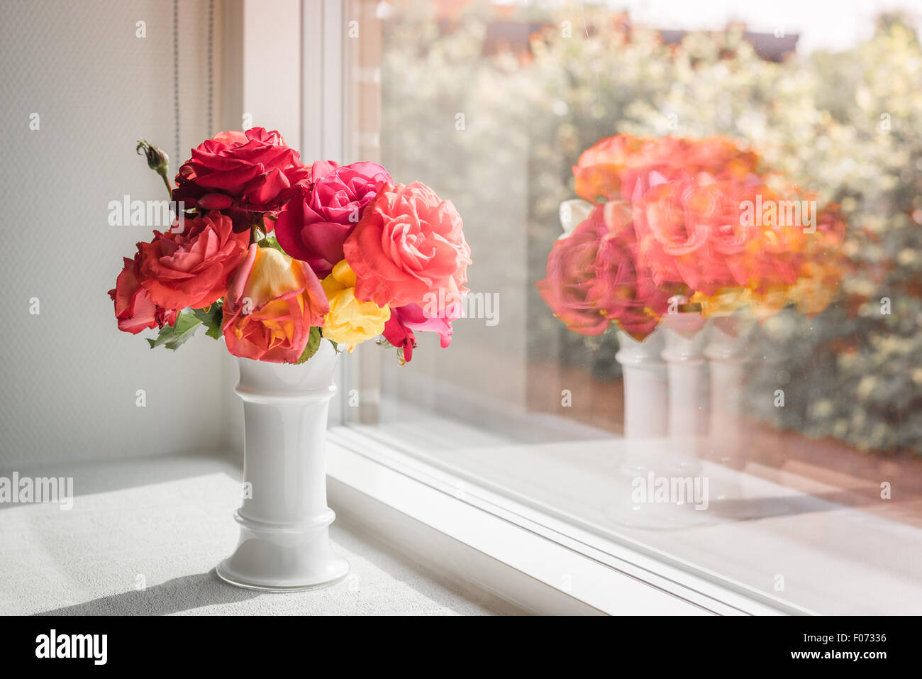 Vase with pink and red roses in a bright window Stock Photo - Alamy