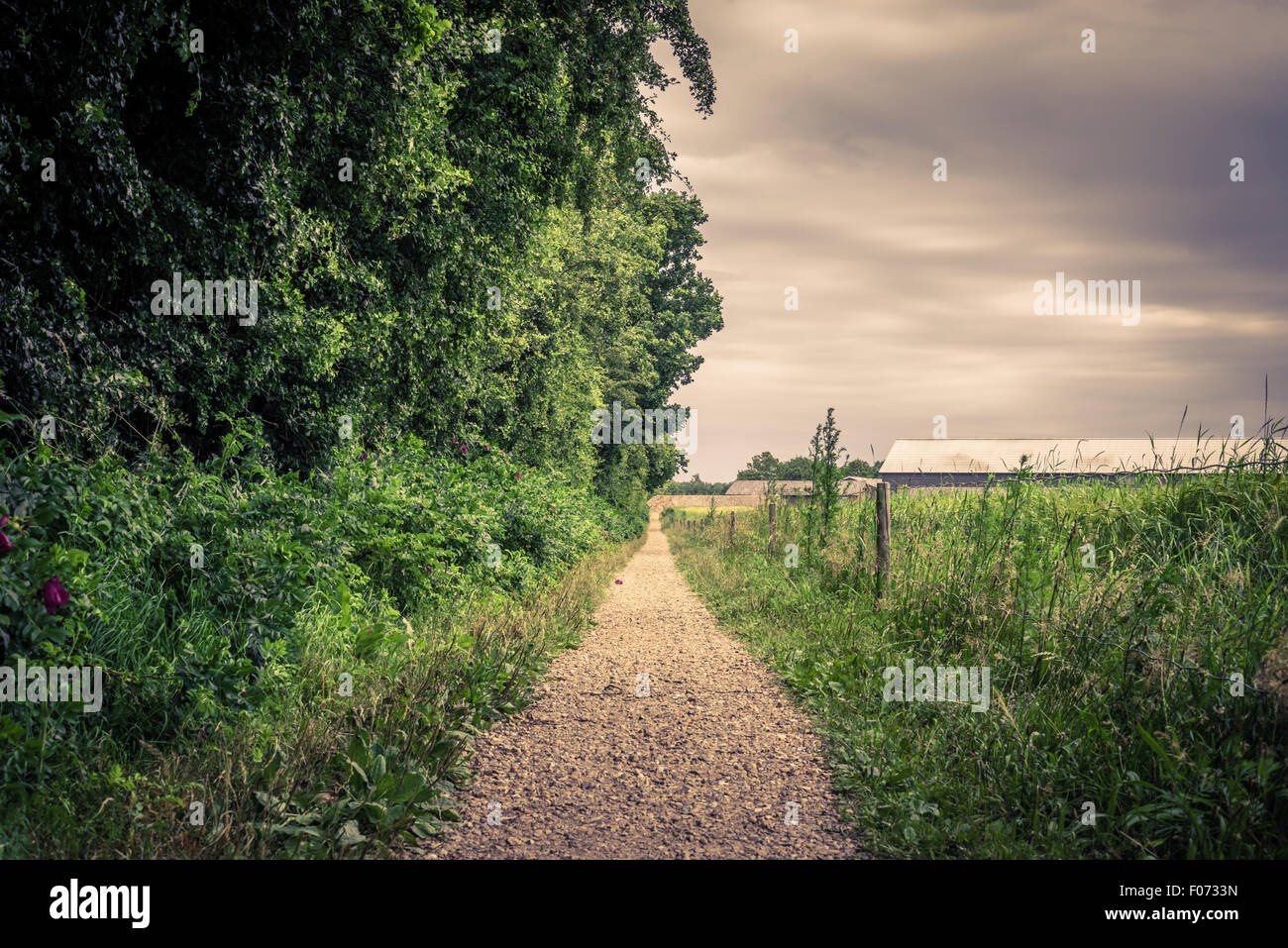Long outdoor path in dark cloudy weather Stock Photo - Alamy