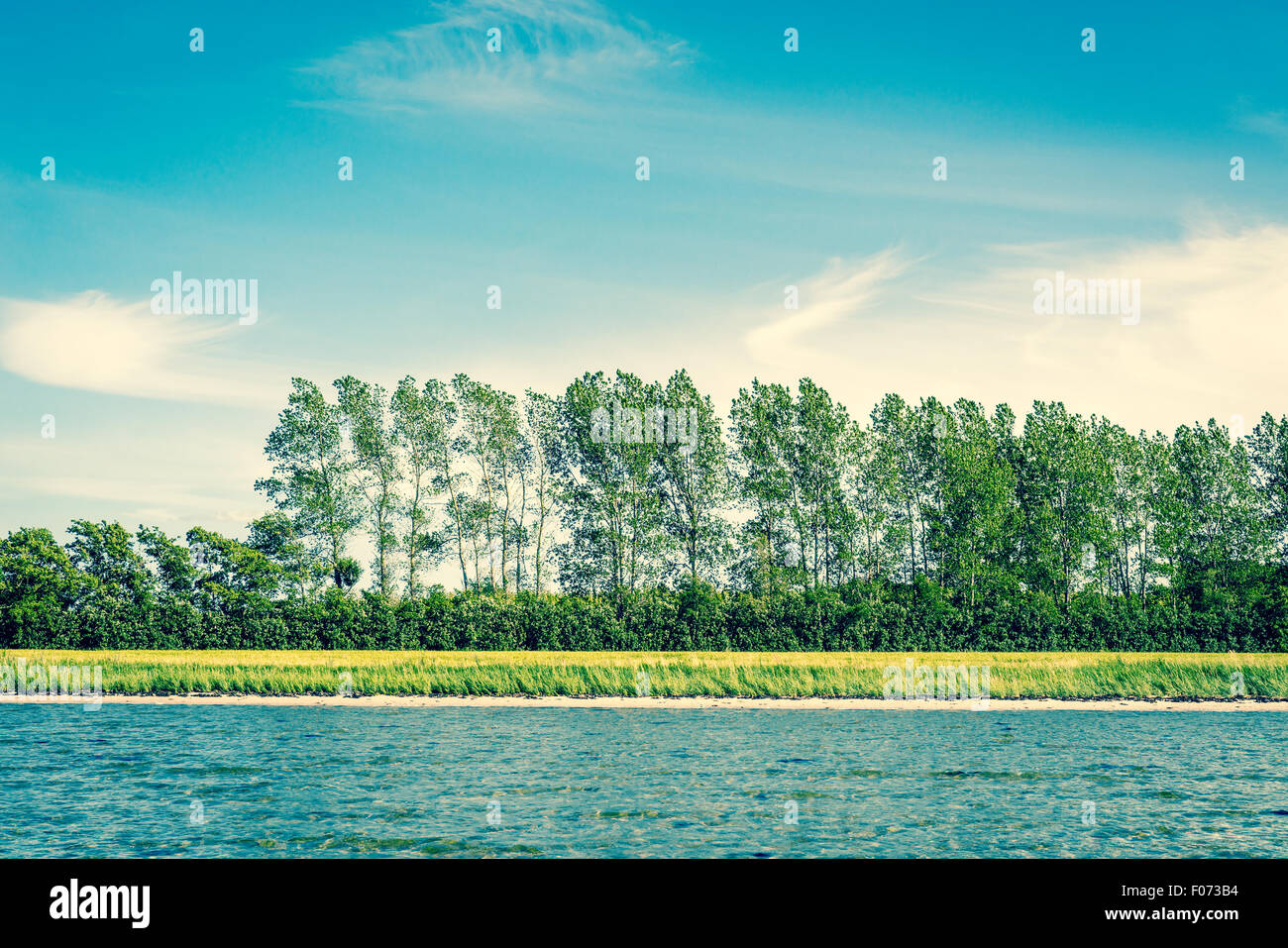 Green trees on a row by a Scandinavian ocean Stock Photo - Alamy