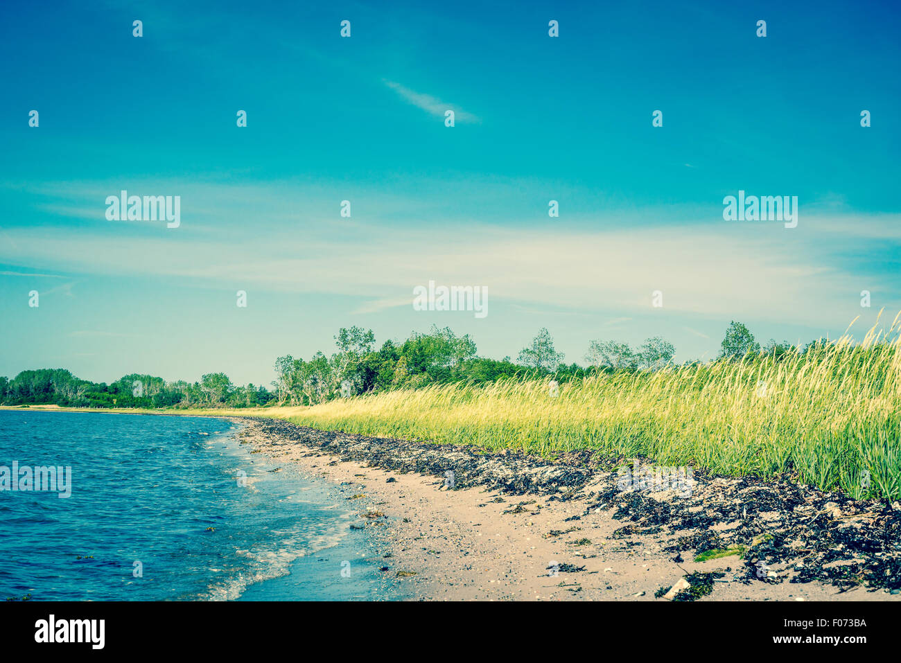 Beach in Scandinavia with green fields and blue sky Stock Photo - Alamy