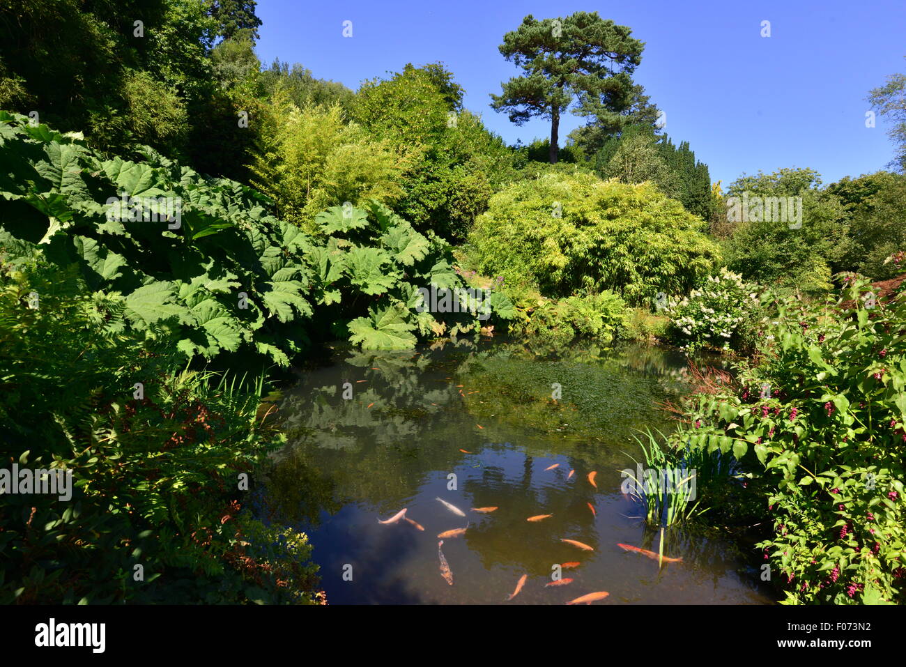 Chartwell house and grounds, the home of Ex Prime minister Winston ...