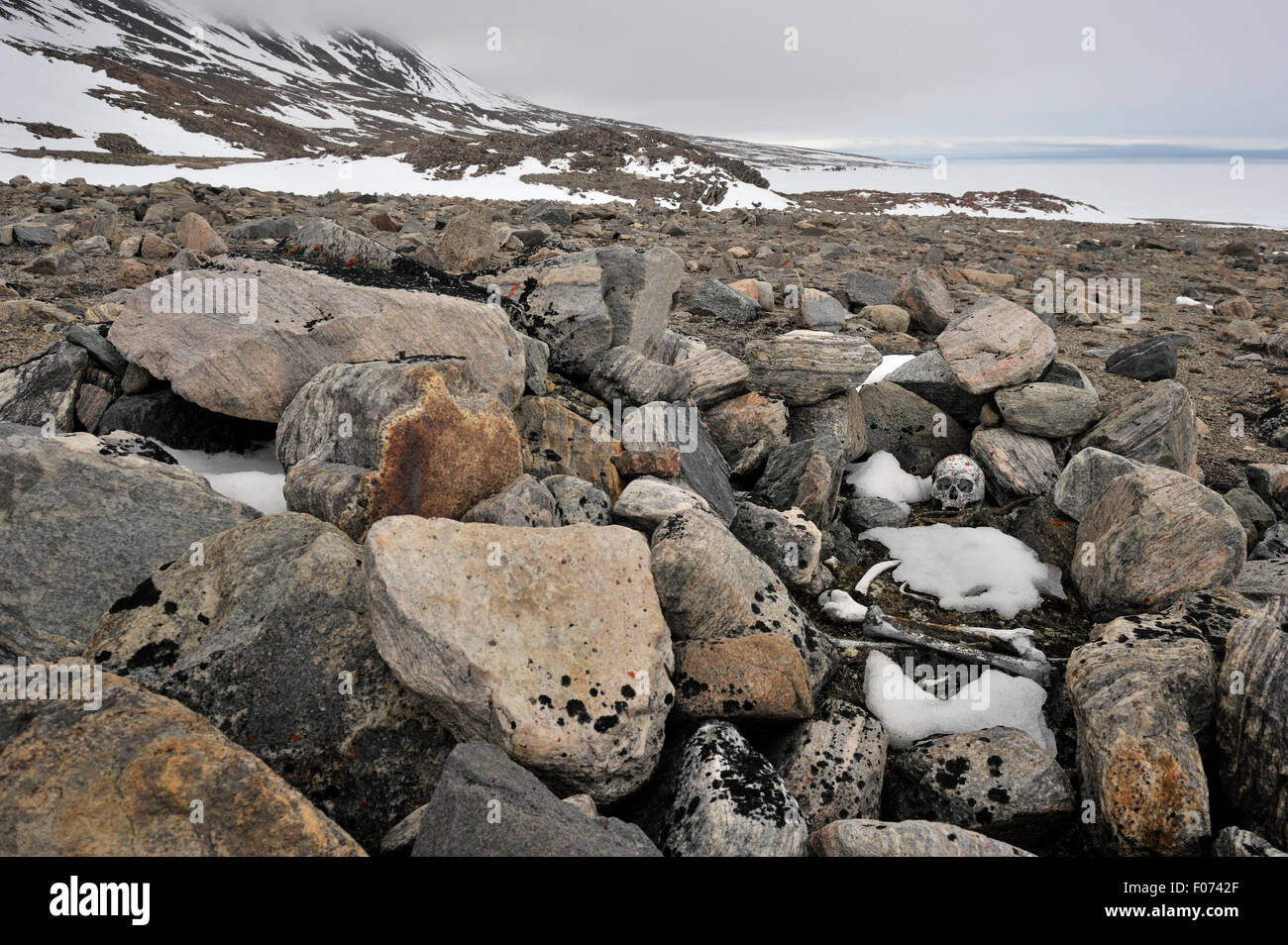 Local ancient graves with remains, skull and bones, Bylot Island ...