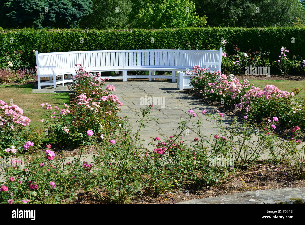 An Italian Rose garden in Kent with a pathway Stock Photo - Alamy