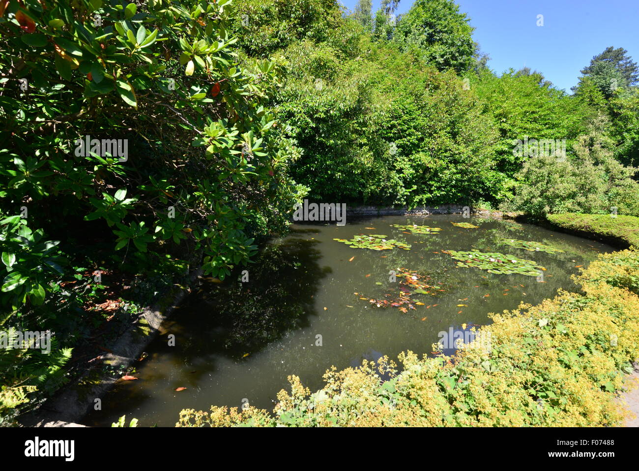 Chartwell house and grounds, the home of Ex Prime minister Winston ...