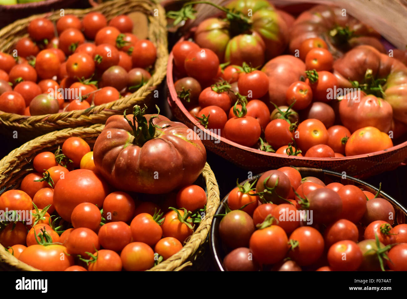 Eco tomatoes hi-res stock photography and images - Alamy