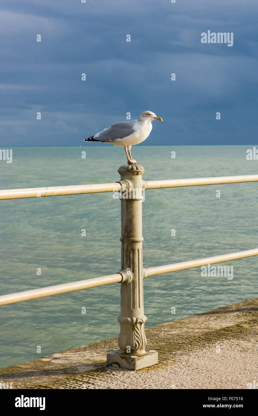 Steely sky hi-res stock photography and images - Alamy