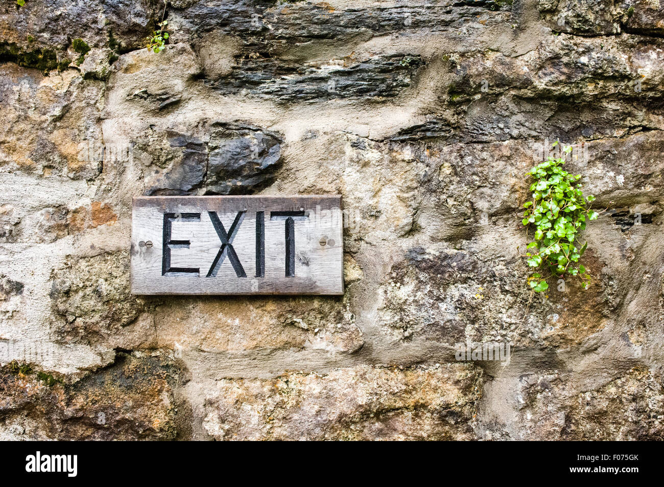 Ireland. Exit sign on wood with stone wall and little plant Stock Photo ...