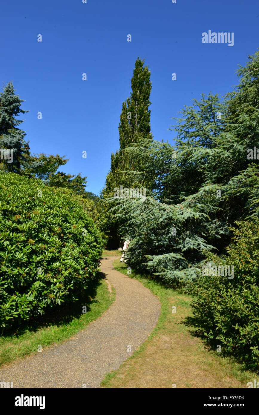 A garden pathway surrounded by trees on a hot summers day in the UK ...